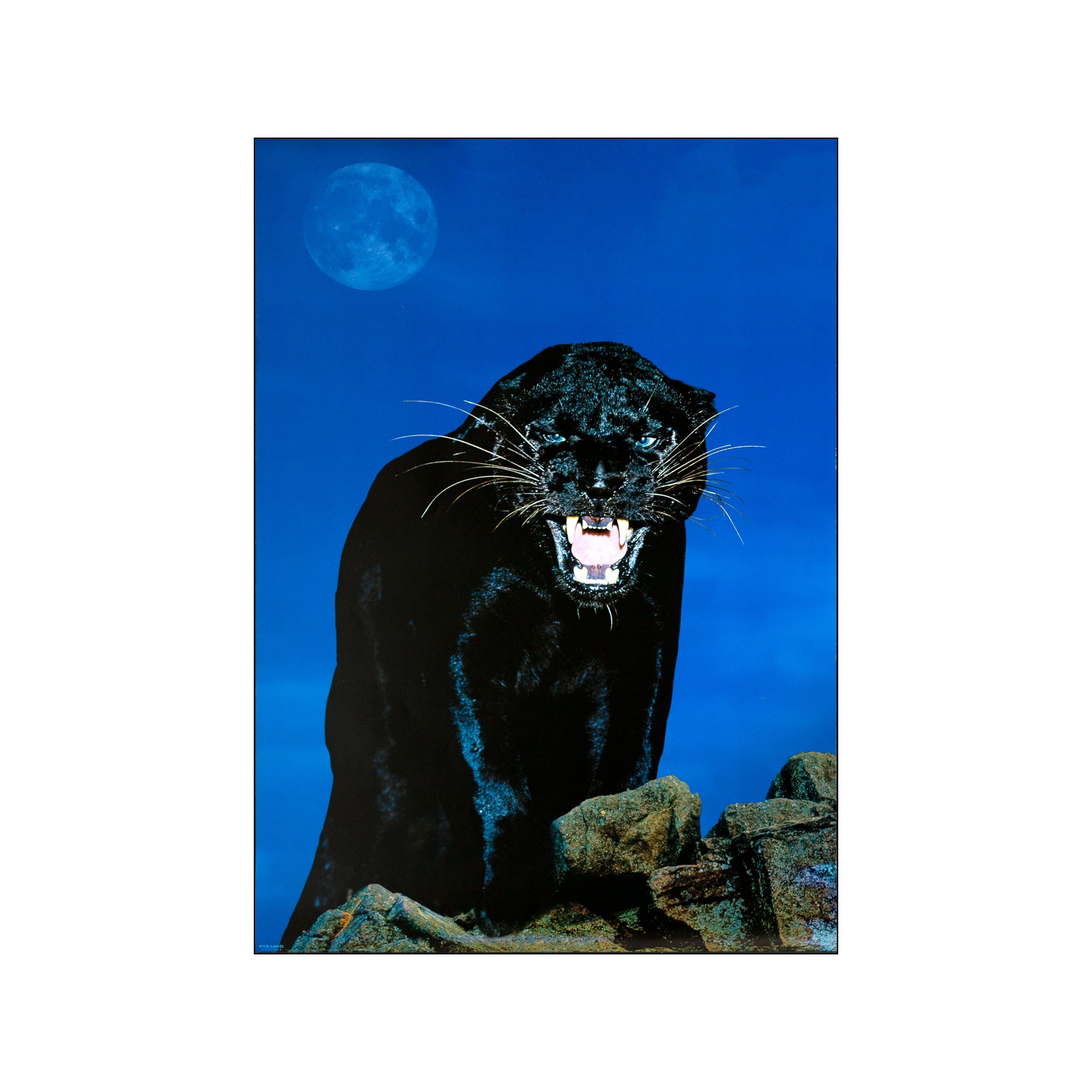 Black Panther – Poster & Frame Art Group
