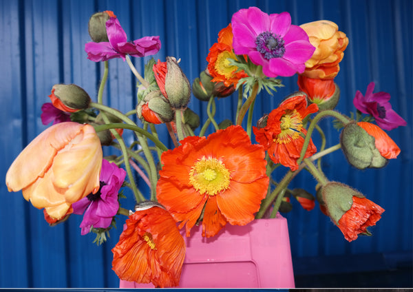 Studio FLØR – Poster & Frame Art Group