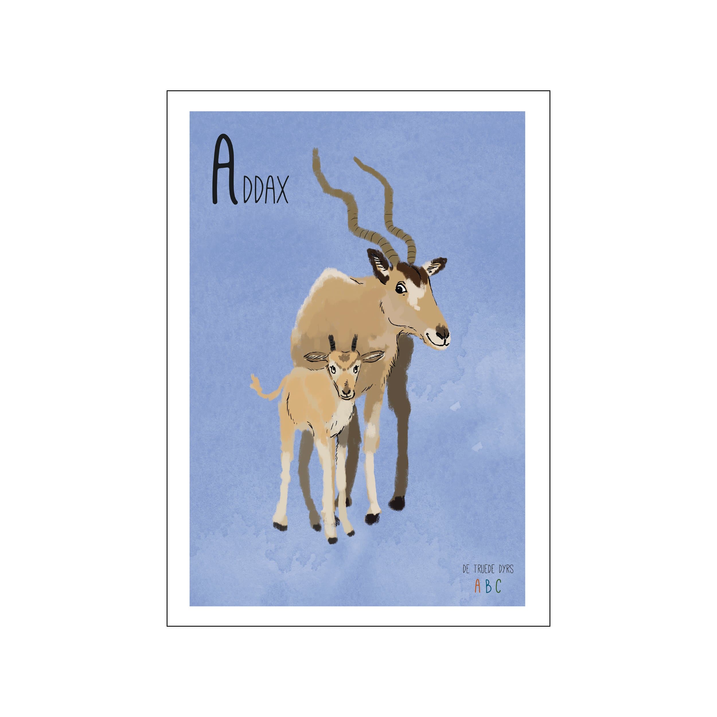 Addax – Poster & Frame Art Group