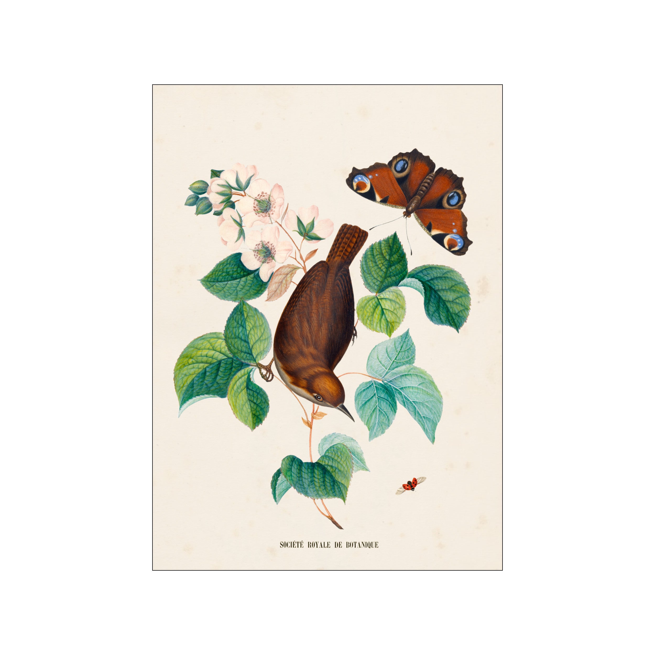 Artimuus 181 – Poster & Frame Art Group