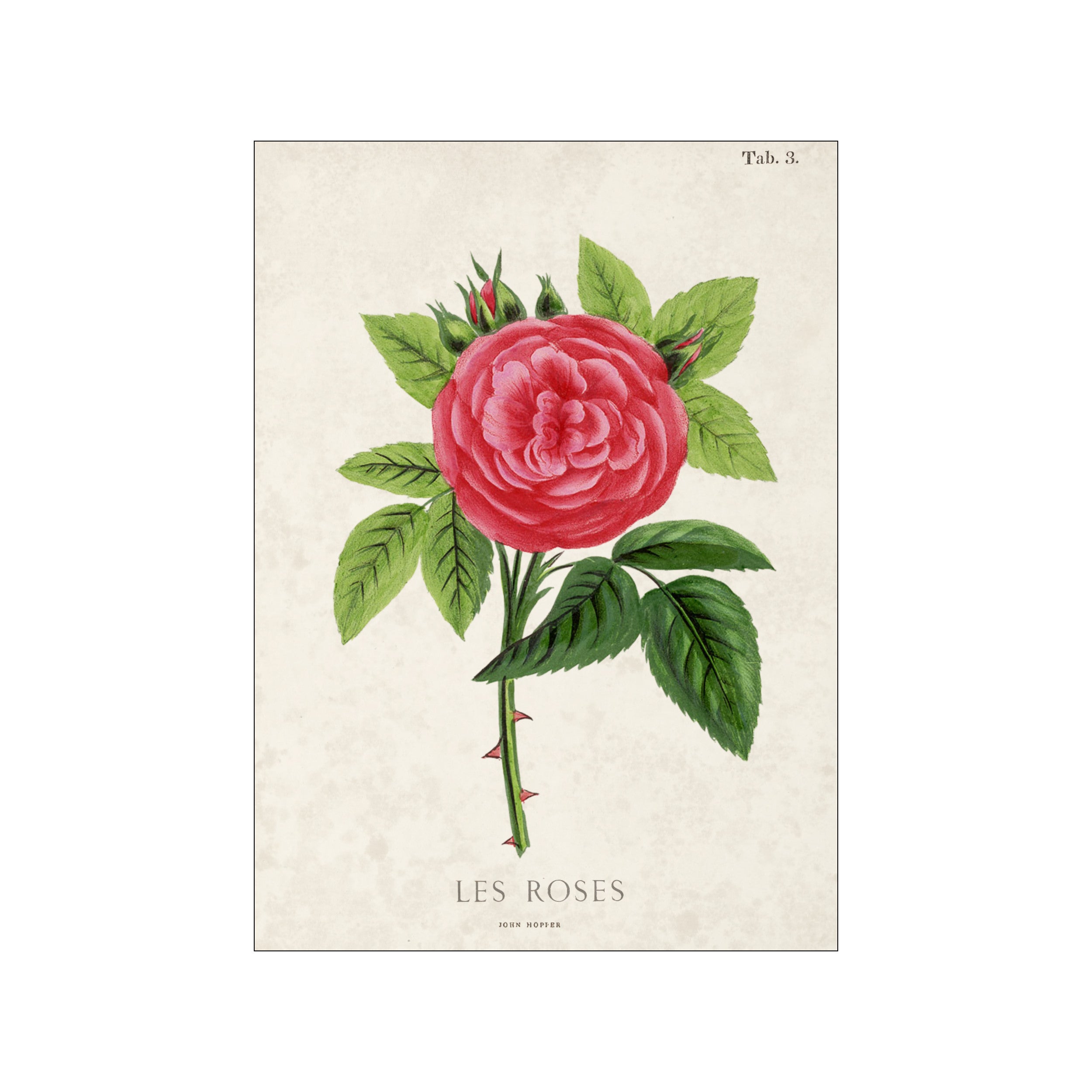 Artimuus 209 – Poster & Frame Art Group