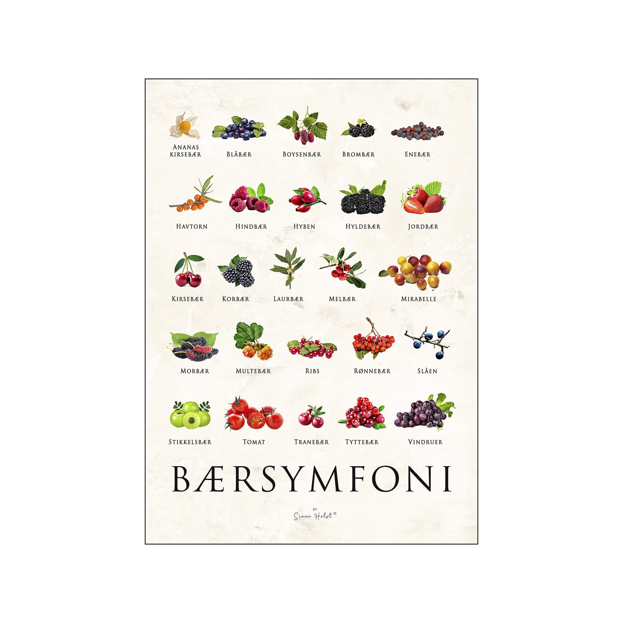 Bærsymfoni, sten – Poster & Frame Art Group