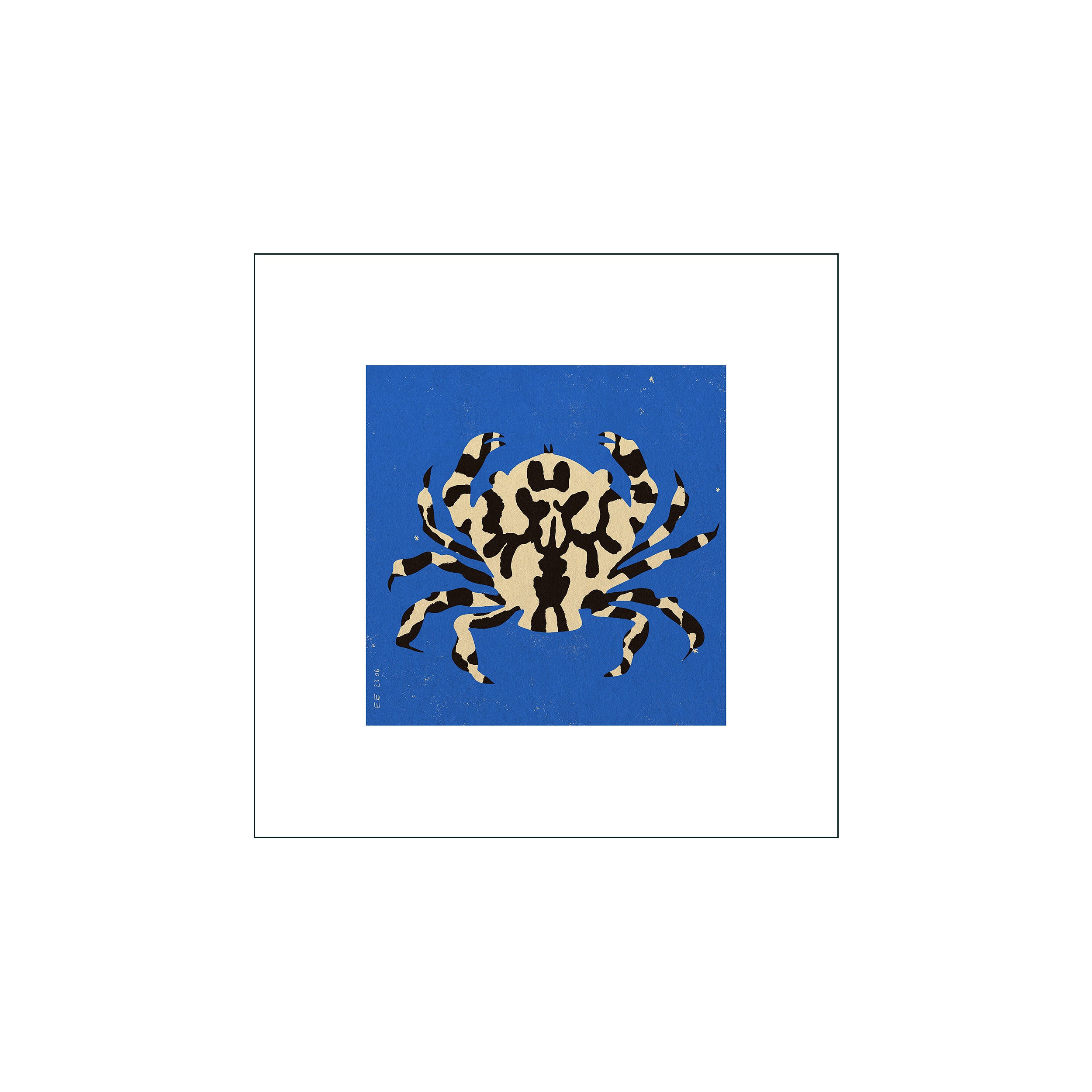 Calico Crab – Poster & Frame Art Group