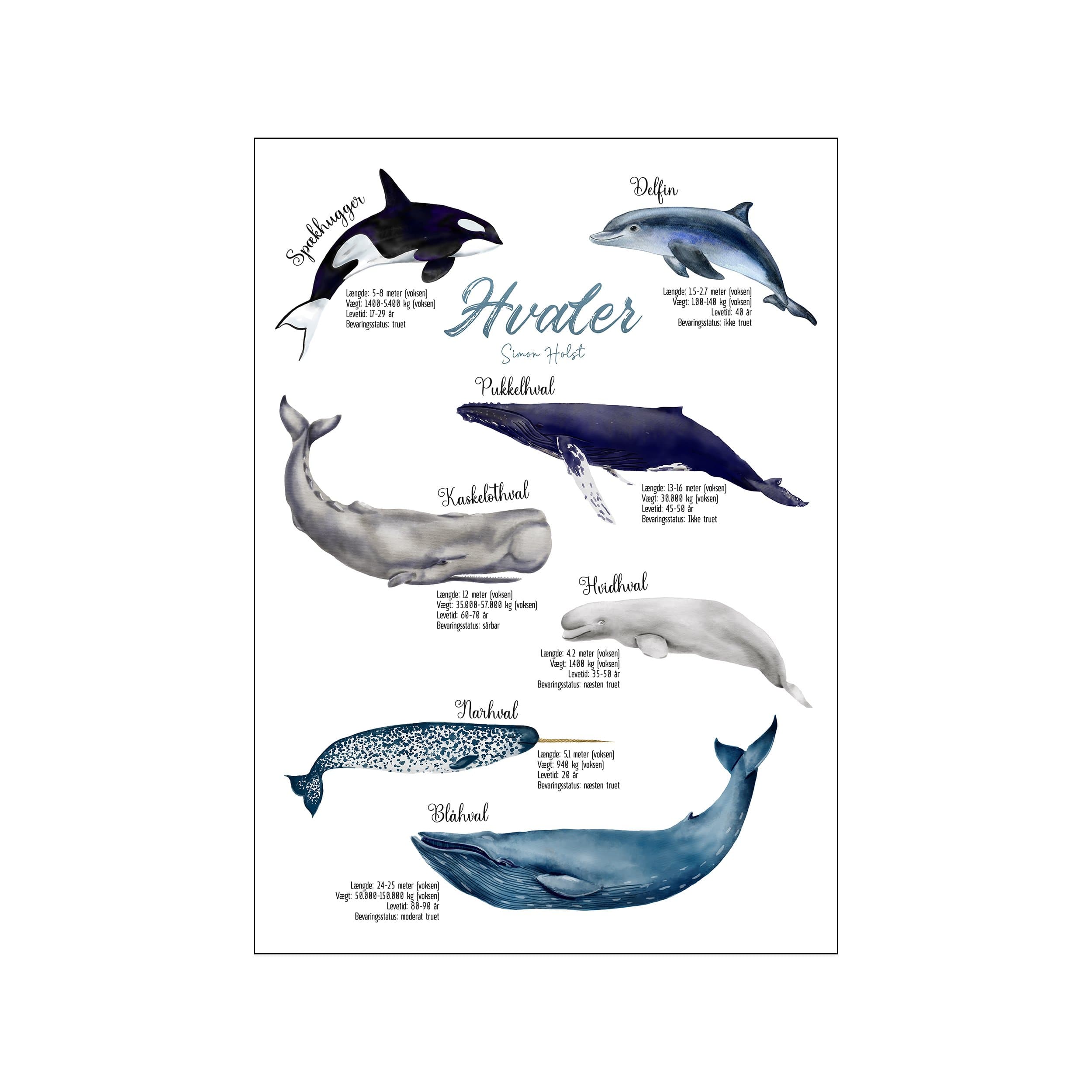 Hval plakat – Poster & Frame Art Group