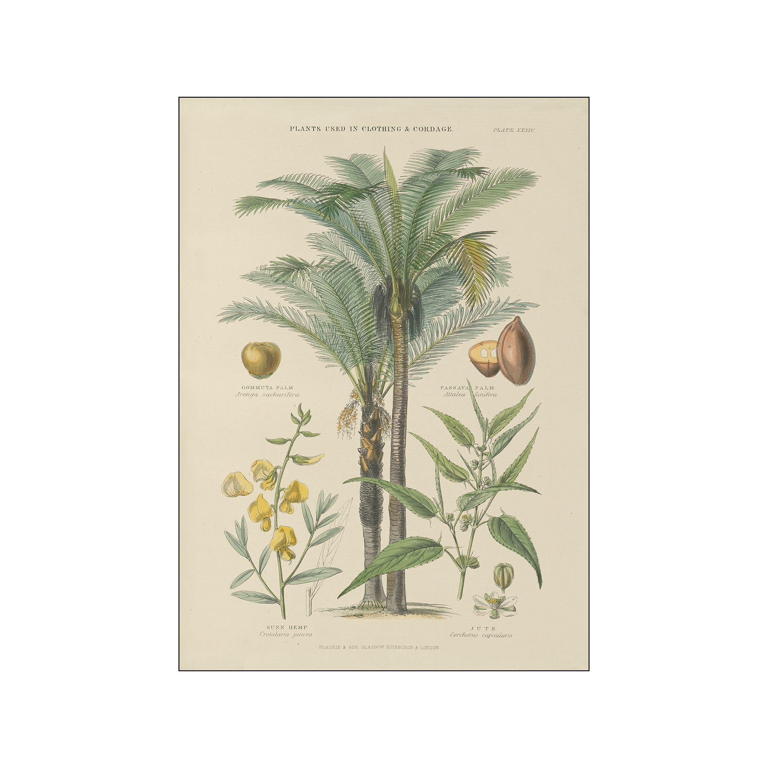 Industrial Trees – Poster & Frame Art Group