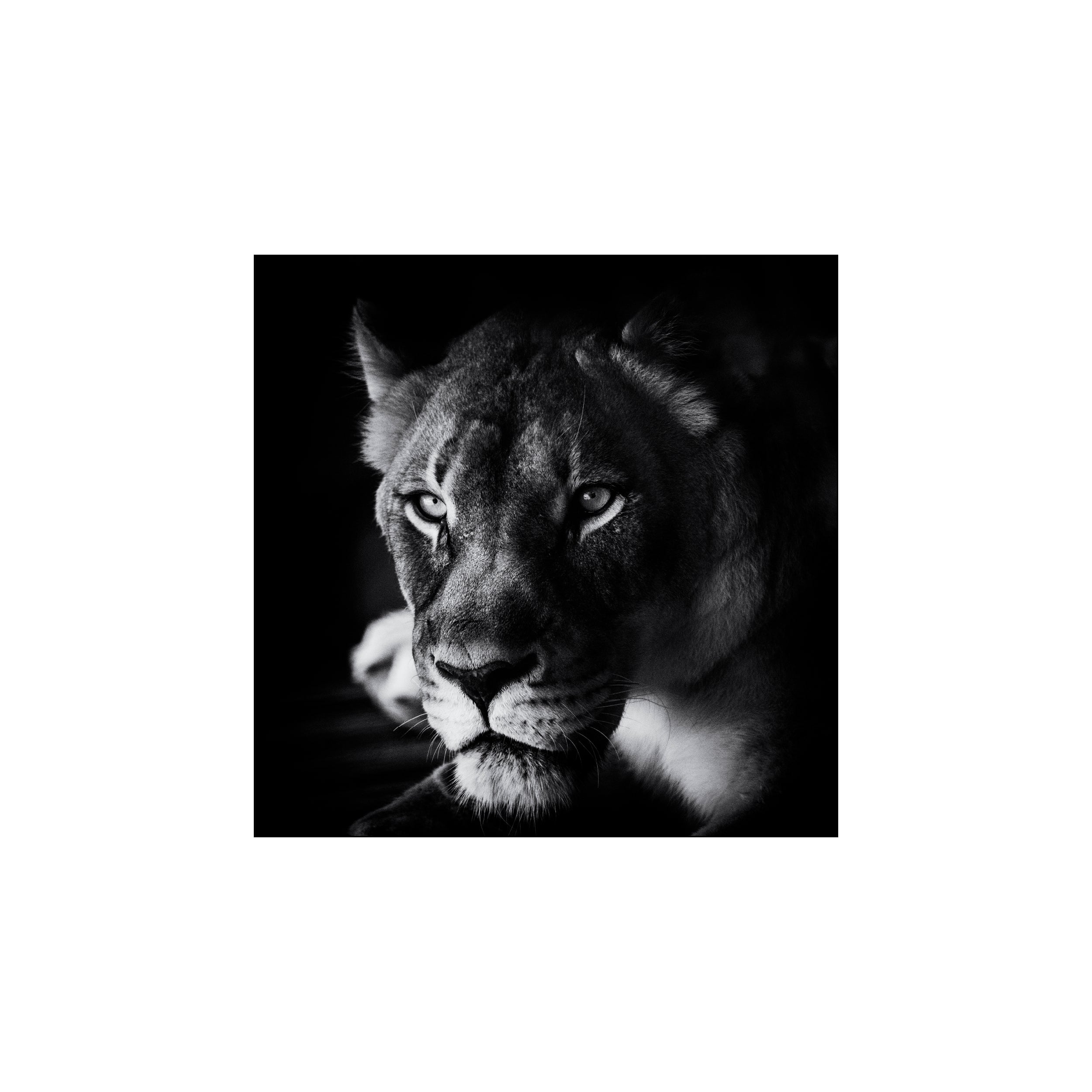 The Look – Poster & Frame Art Group