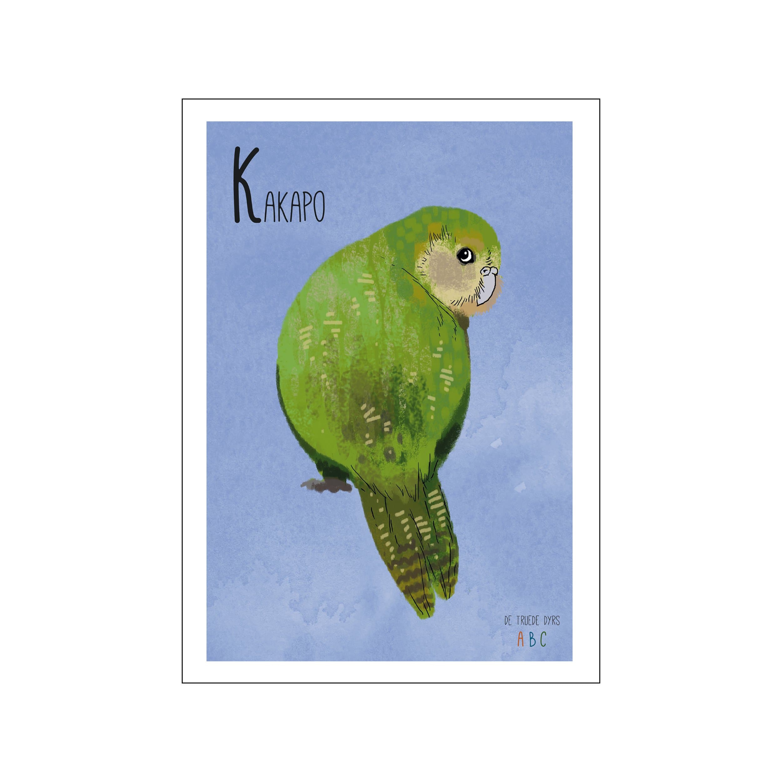 Kakapo – Poster & Frame Art Group