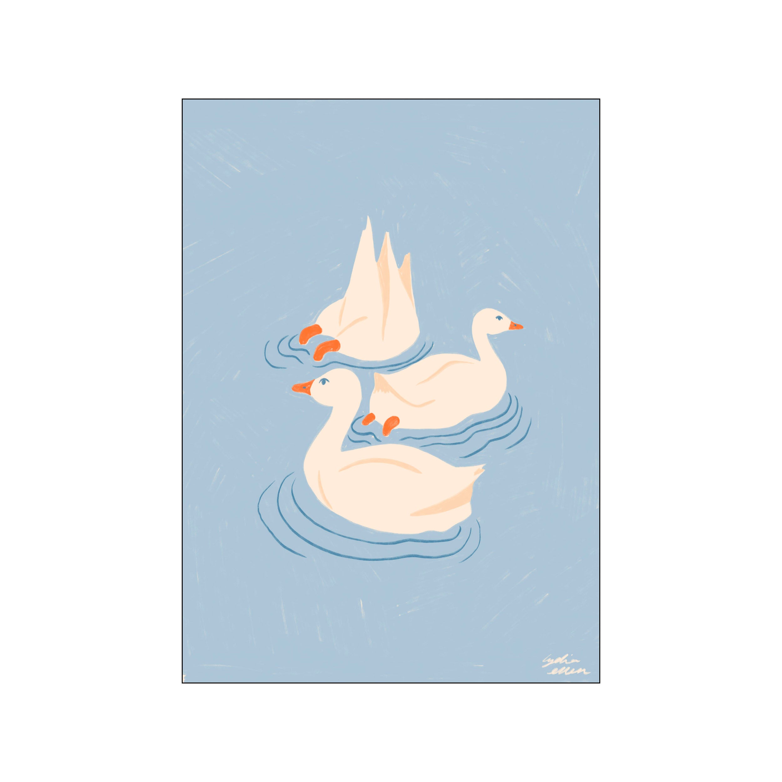 Ducks – Poster & Frame Art Group