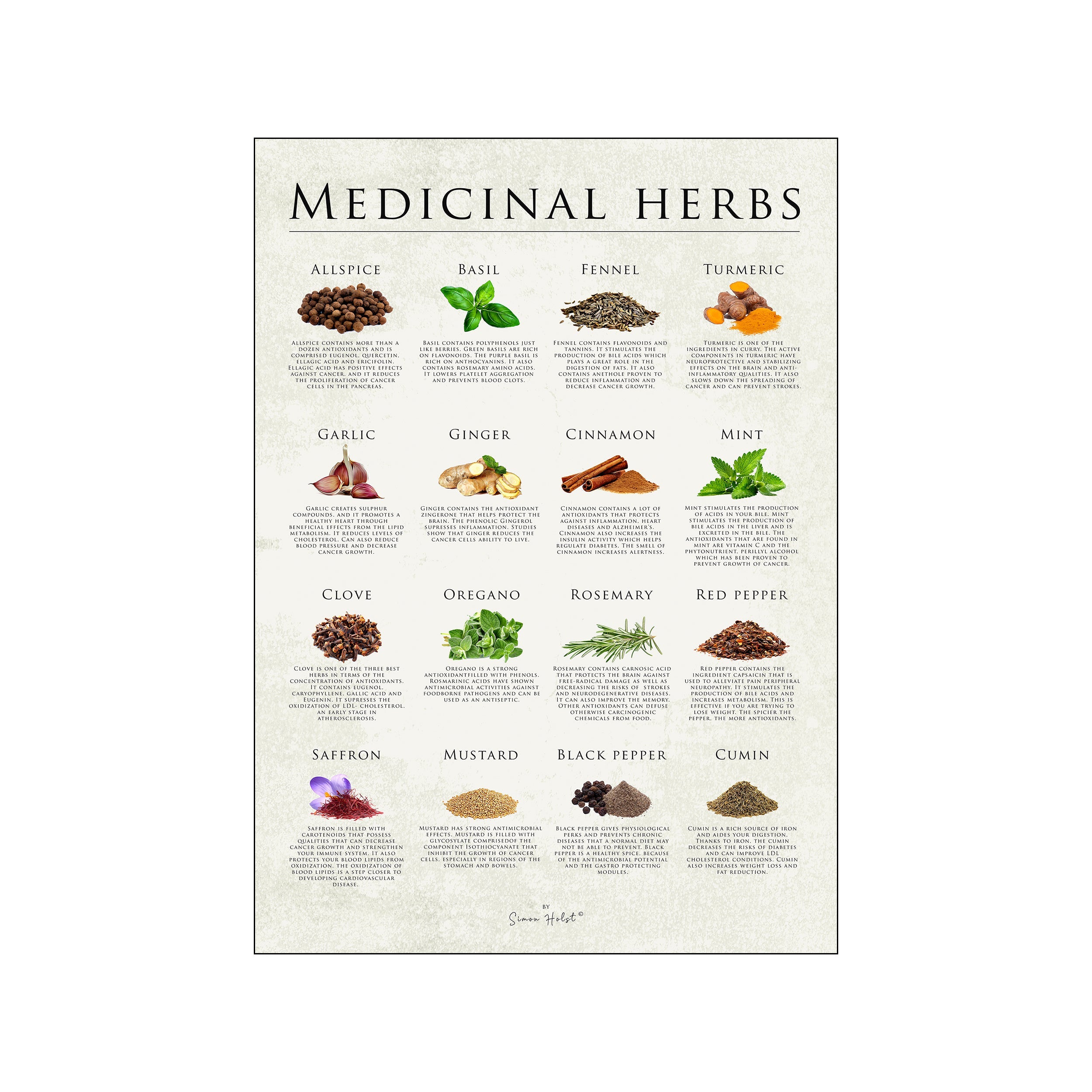 Medicinal Herbs – Poster & Frame Art Group