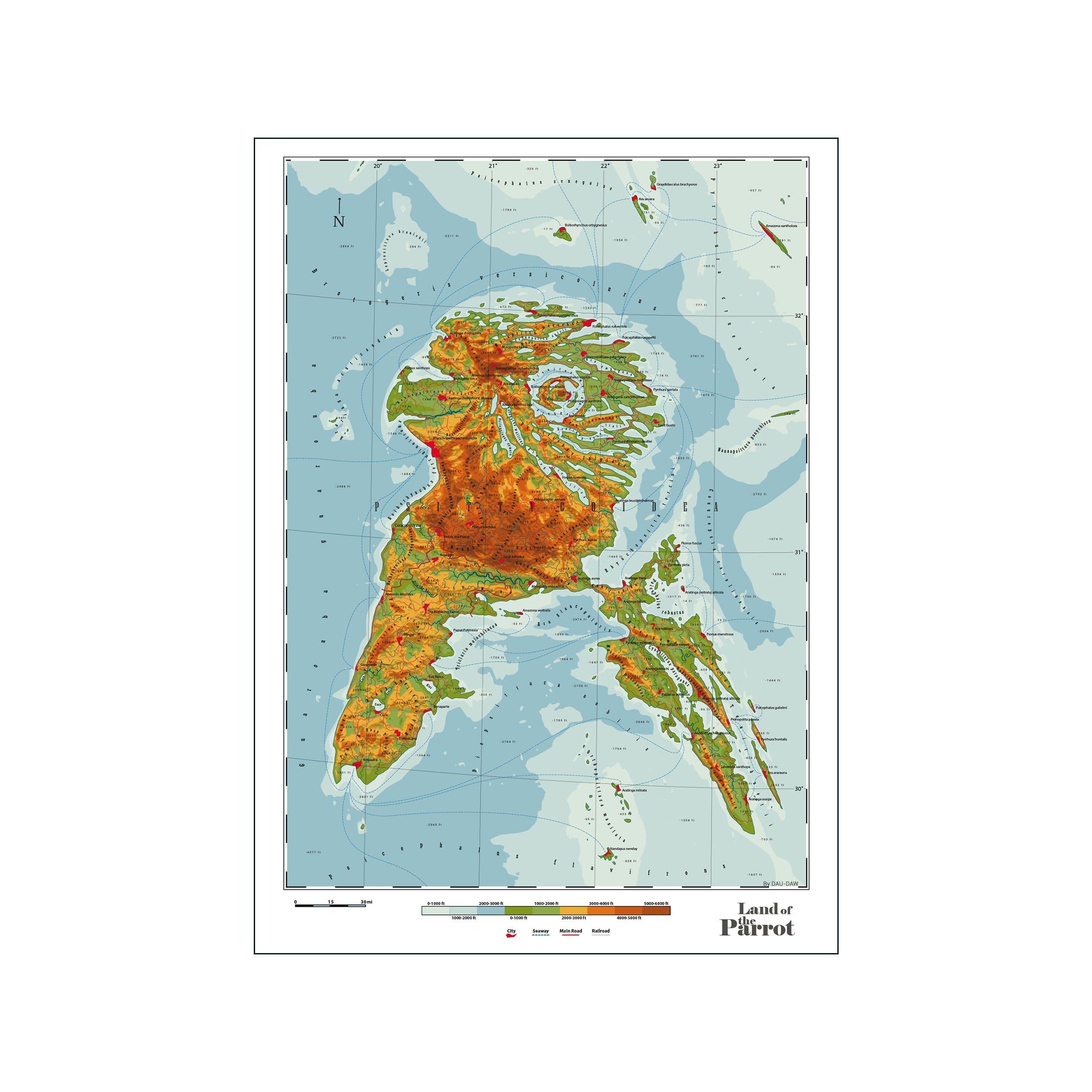 Parrot – Poster & Frame Art Group