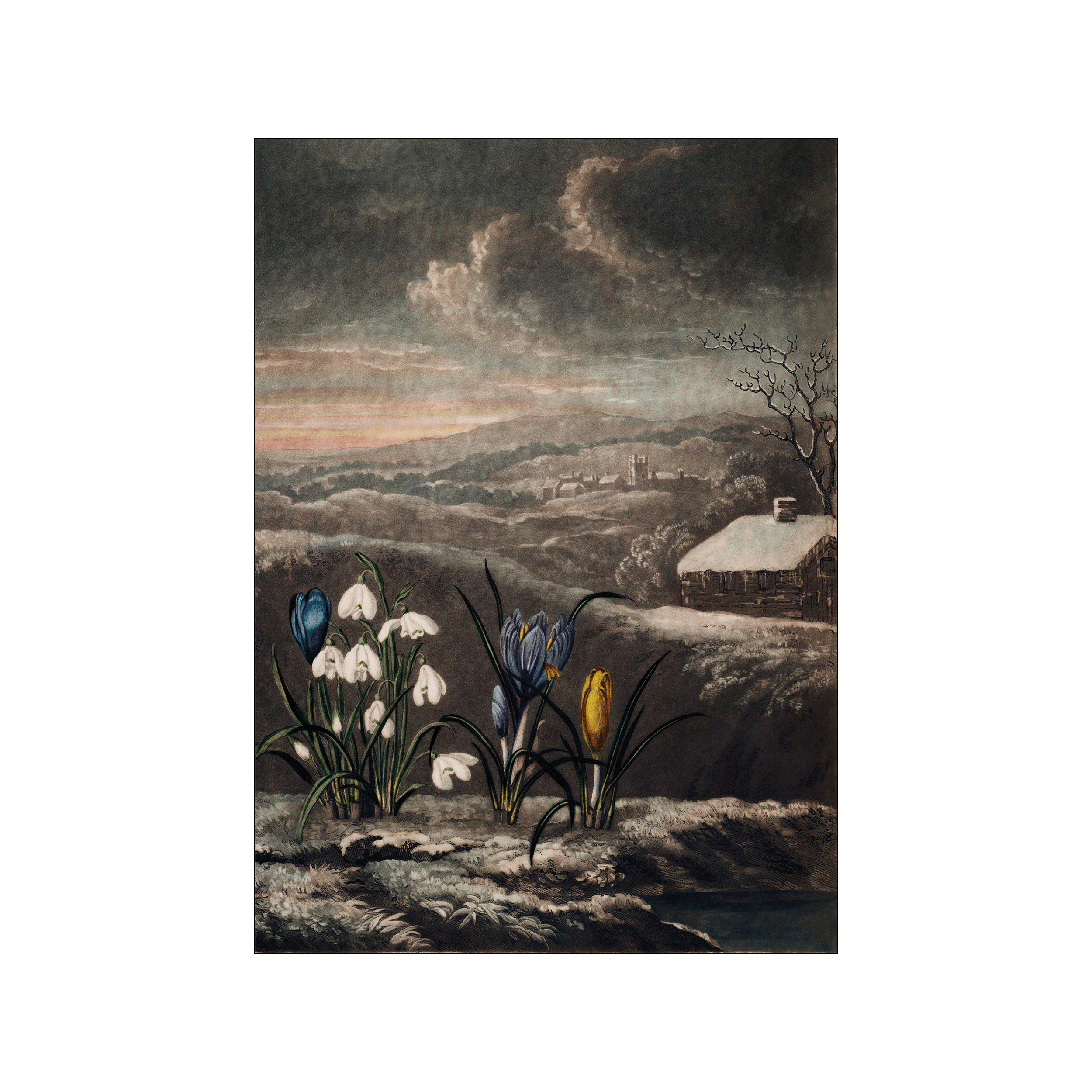 The Snowdrops – Poster & Frame Art Group