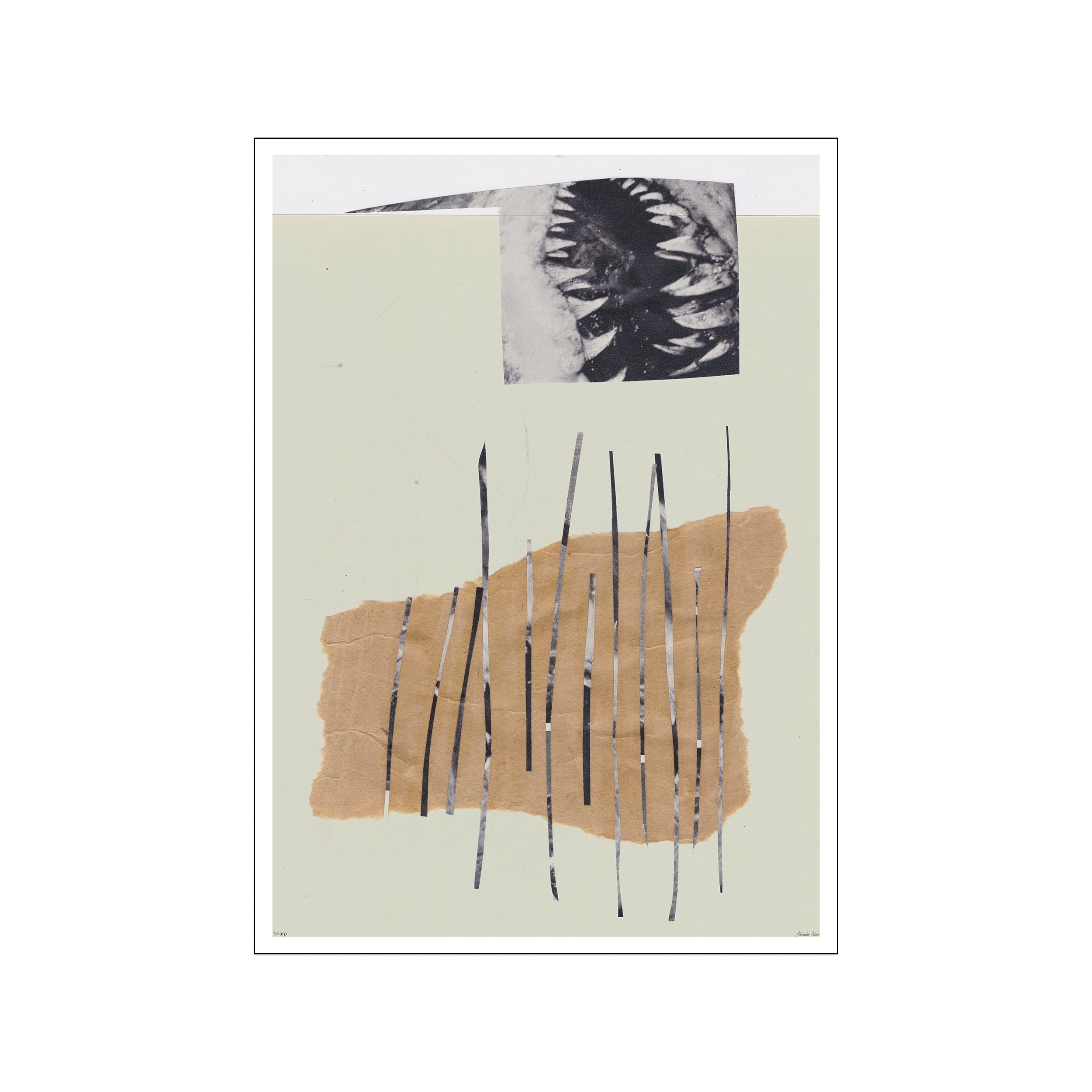 Sharp – Poster & Frame Art Group