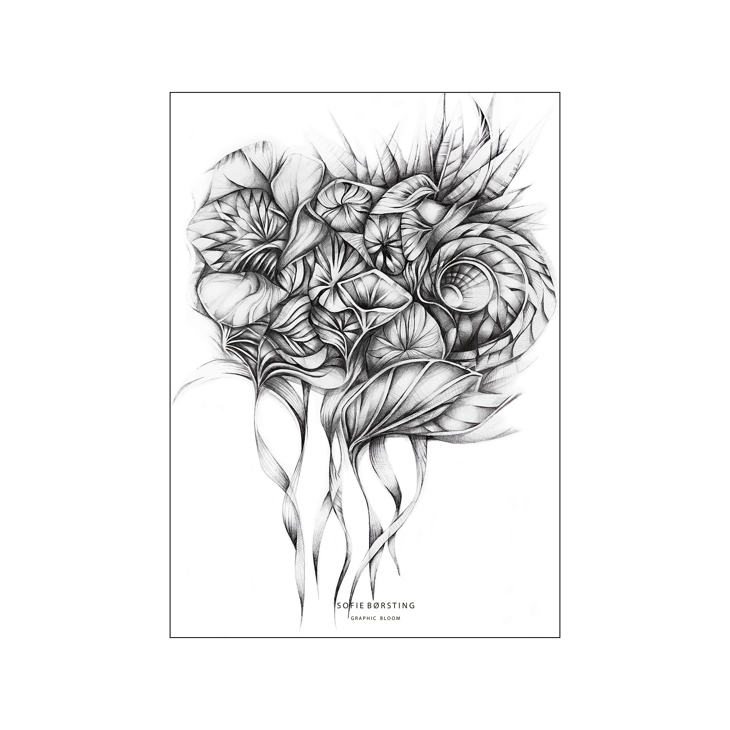 Graphic Bloom – Poster & Frame Art Group