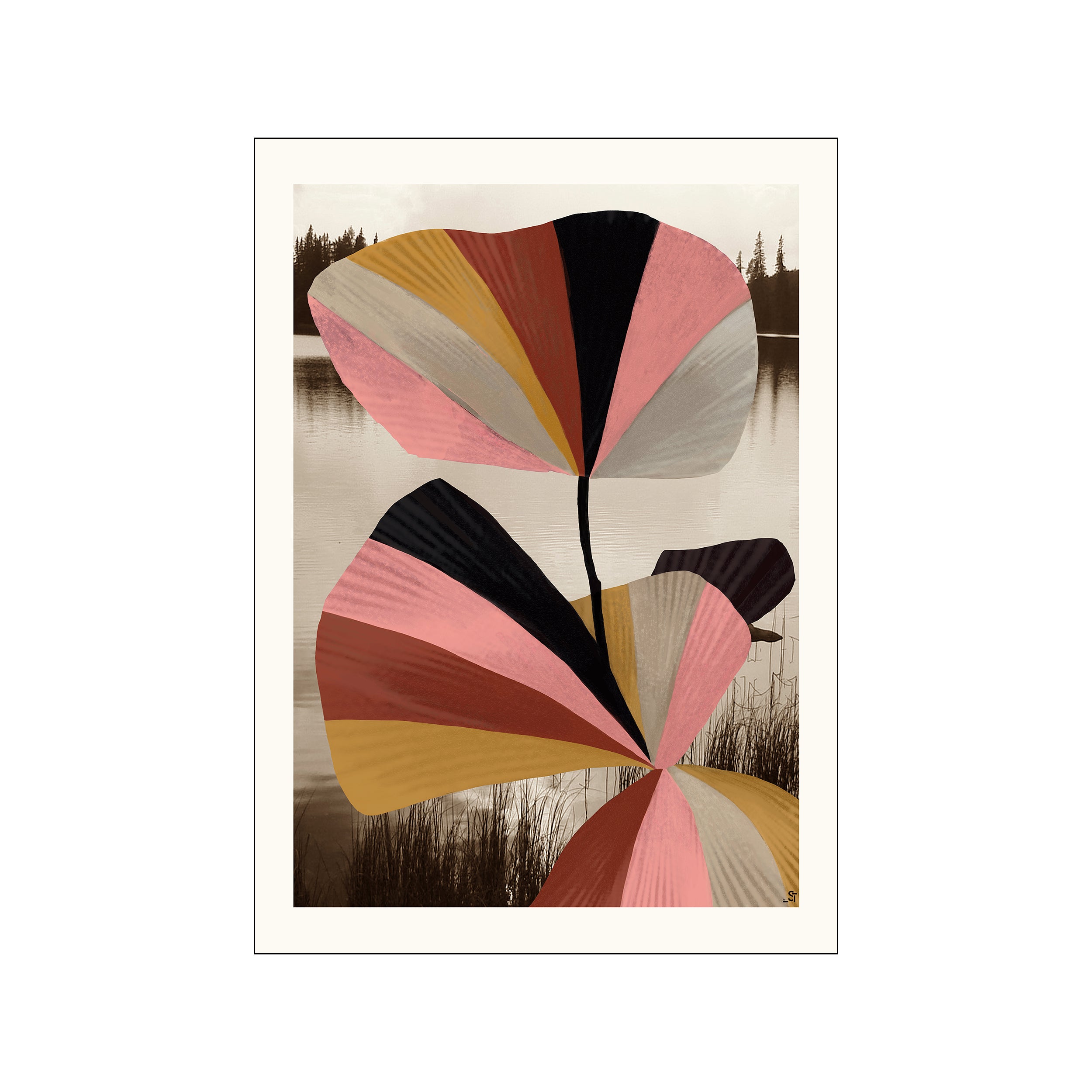 Sylvia - In bloom – Poster & Frame Art Group