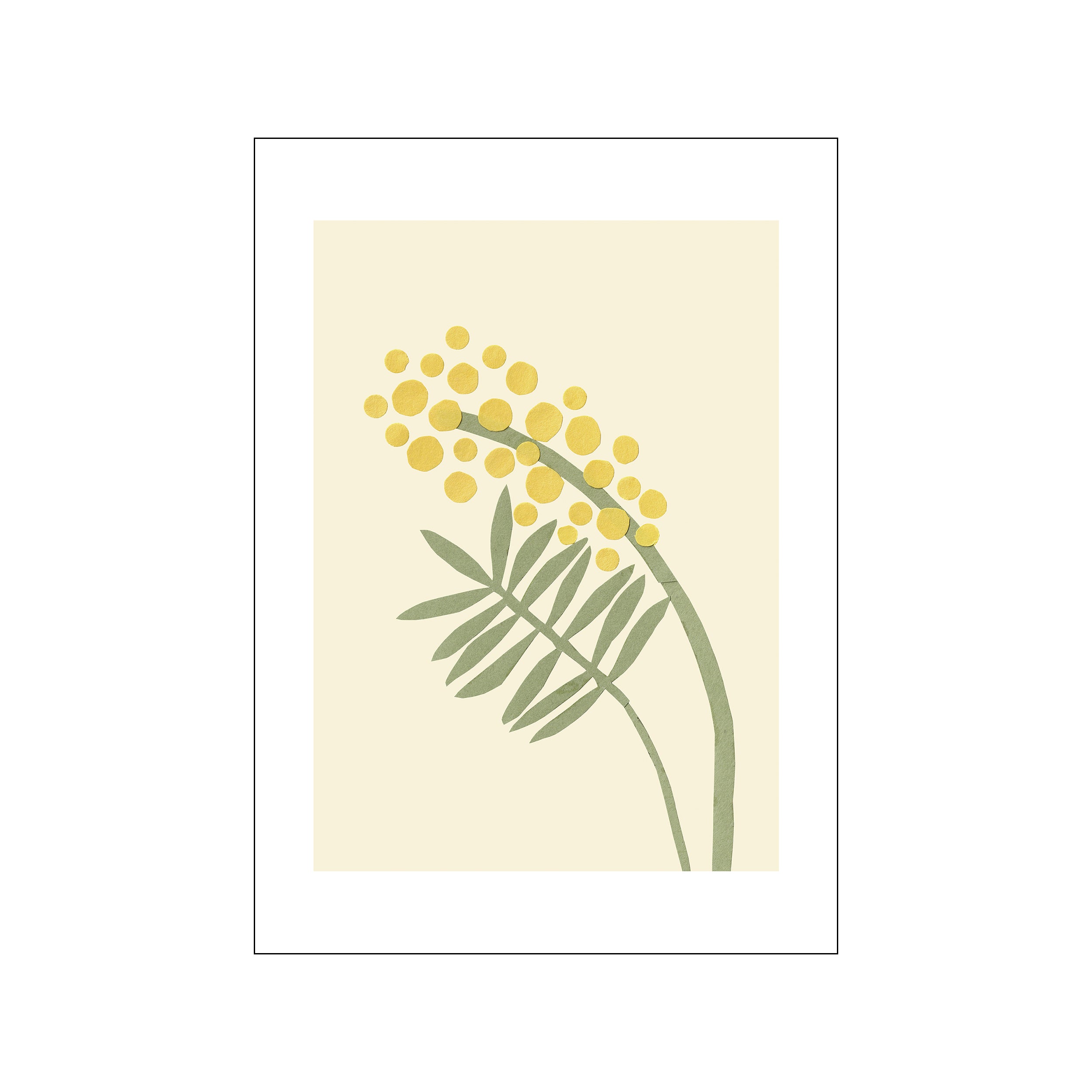 Acacia – Poster & Frame Art Group