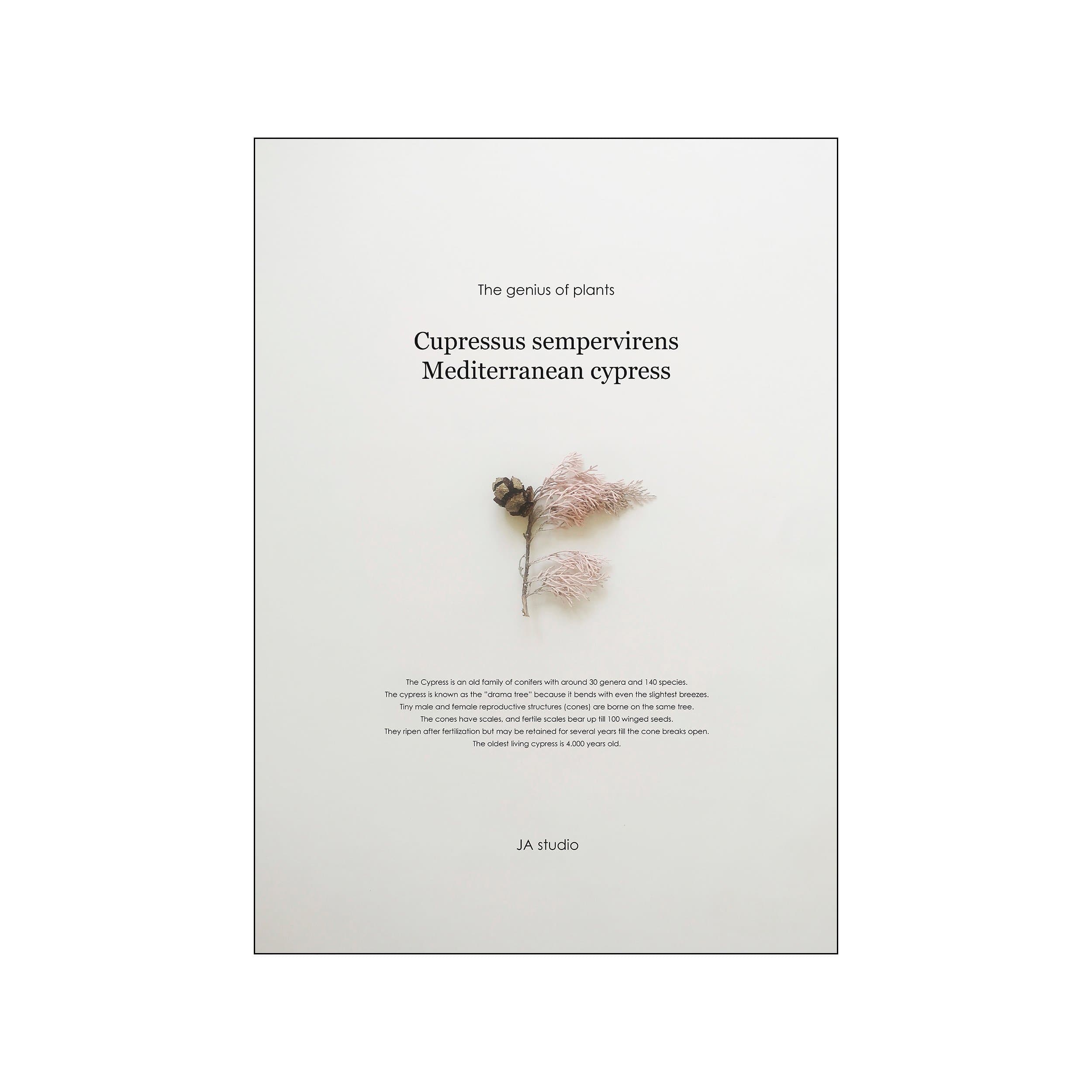 The Genius of Plants – Poster & Frame Art Group