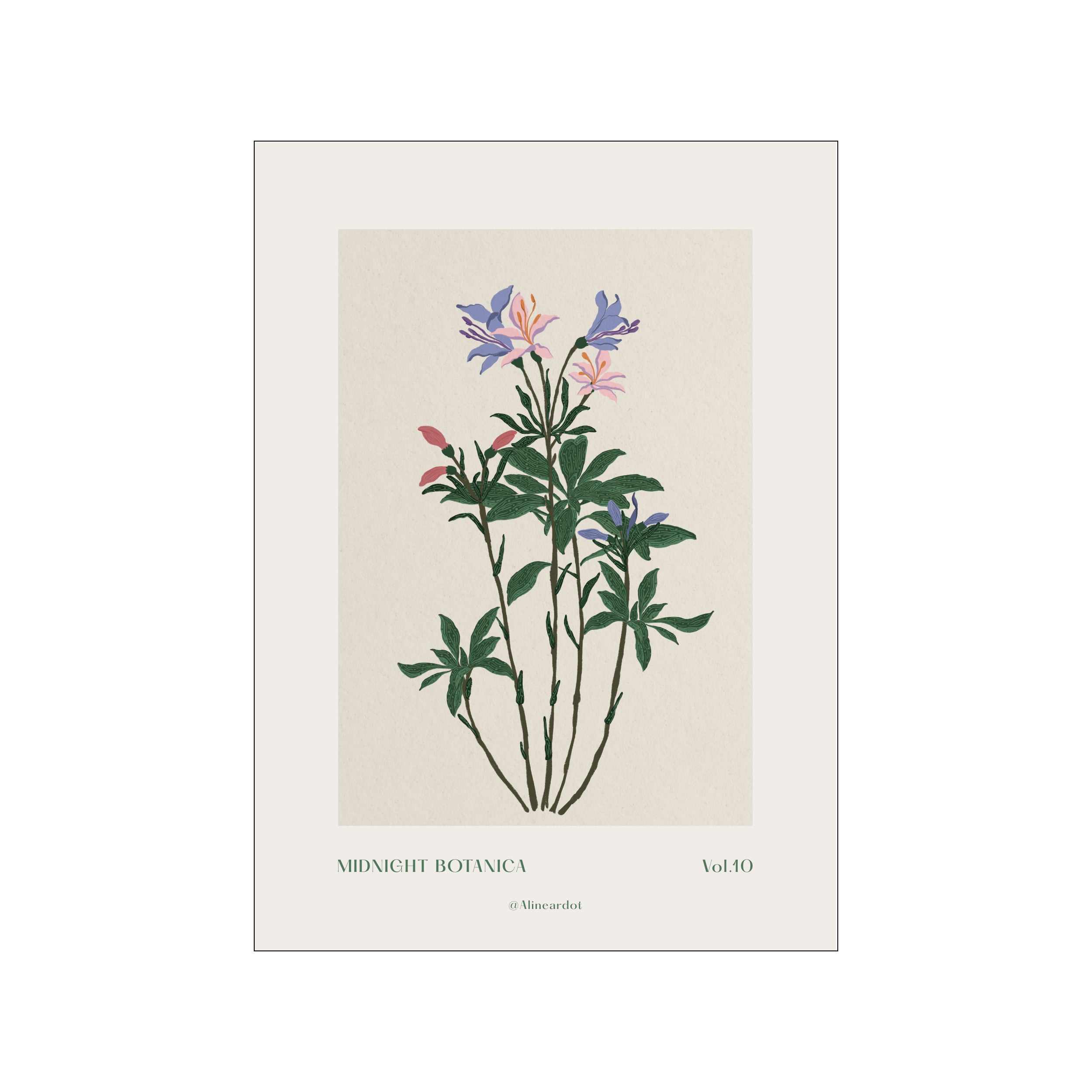 Midnight Botanica – Poster & Frame Art Group
