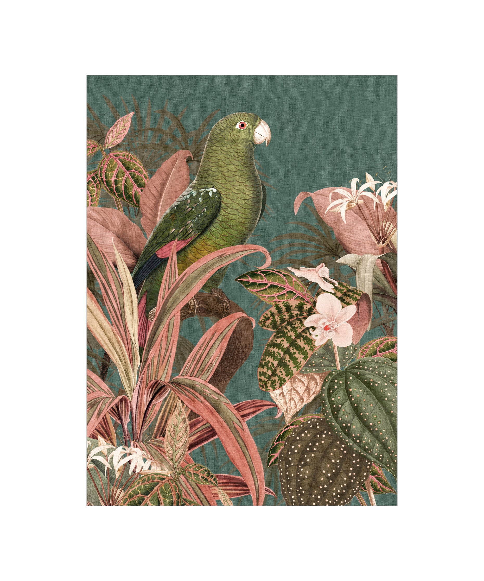 Bloomery Decor – Poster & Frame Art Group