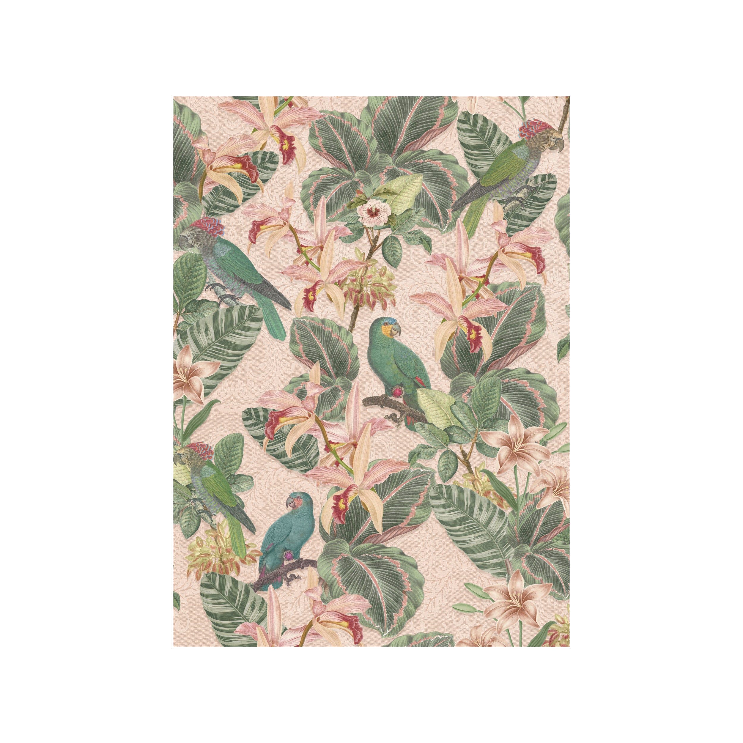 Parrots and orchid flowers tropical dream - Pink – Poster & Frame Art Group