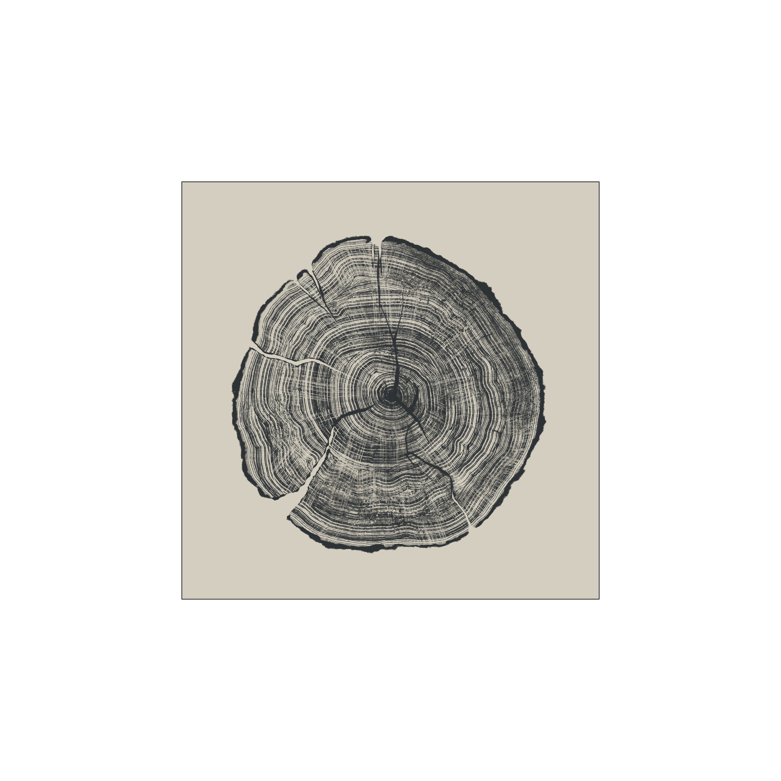 Hand Drawn Oak – Poster & Frame Art Group