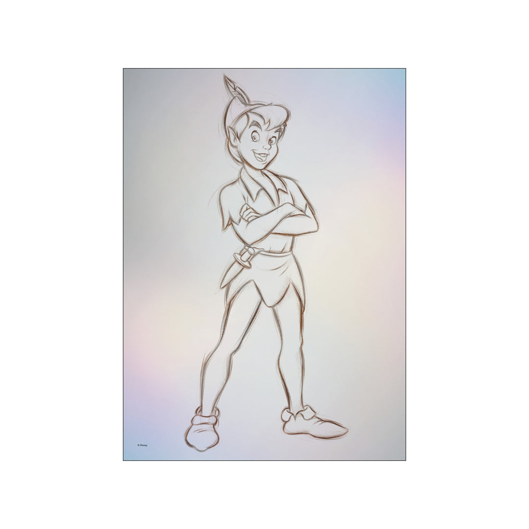 Disney - Peter Pan Sketch Pose – Poster & Frame Art Group
