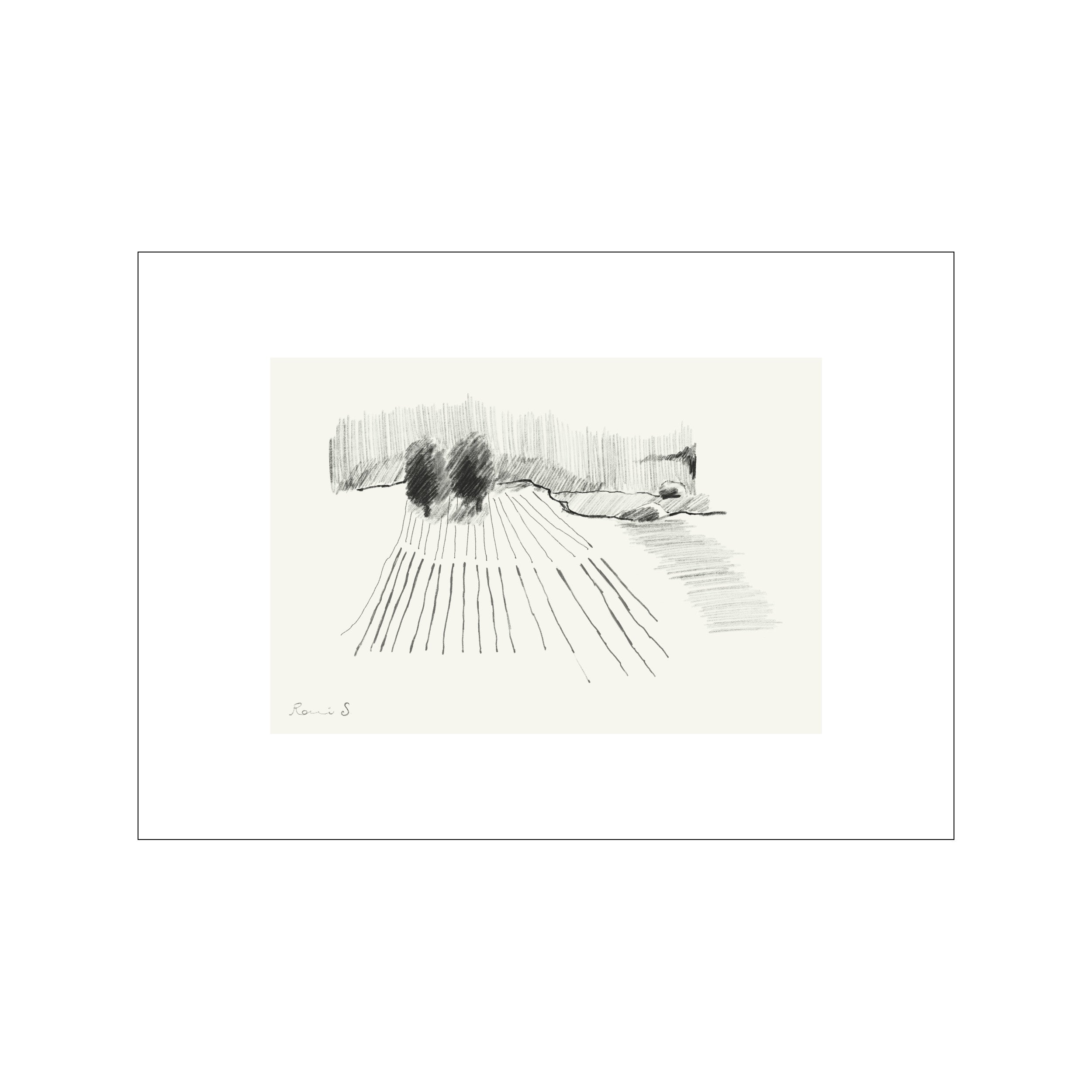 Olive ridge – Poster & Frame Art Group