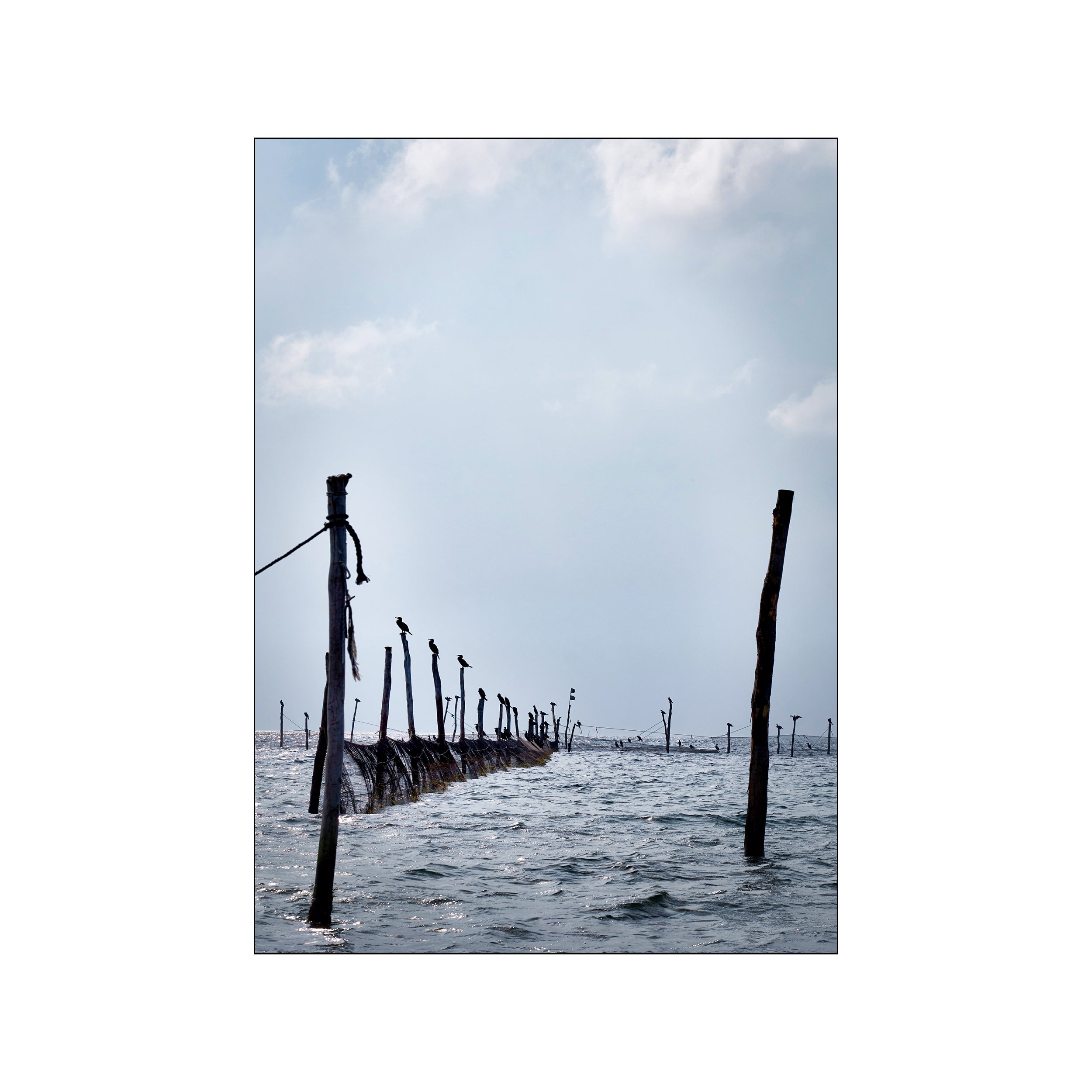 Fiskenet ved kysten – Poster & Frame Art Group