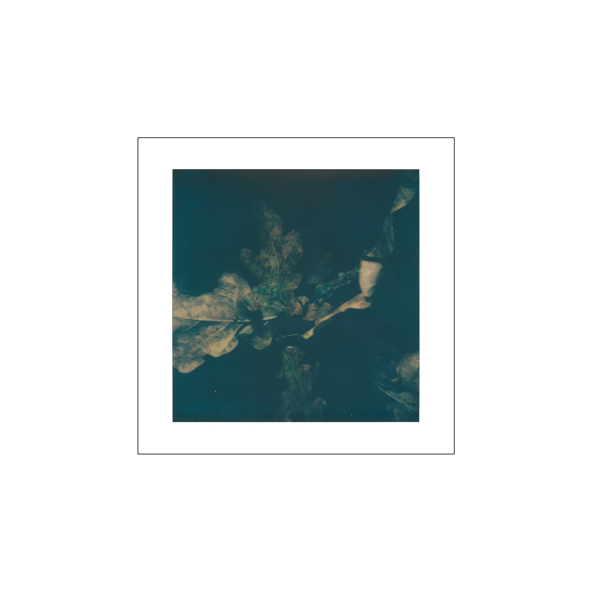 Unfolding – Poster & Frame Art Group