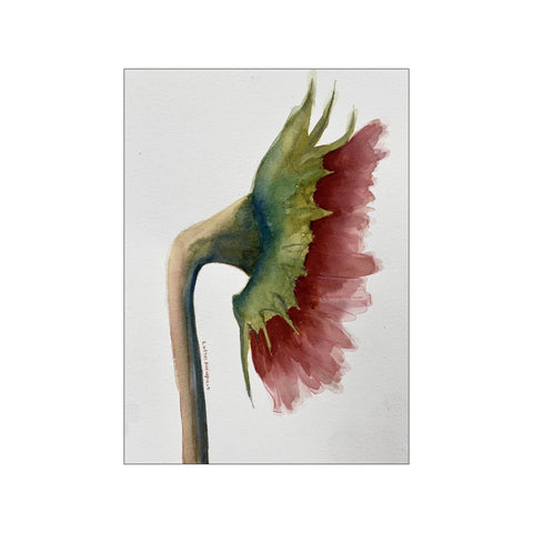 New Arrivals – Poster & Frame Art Group