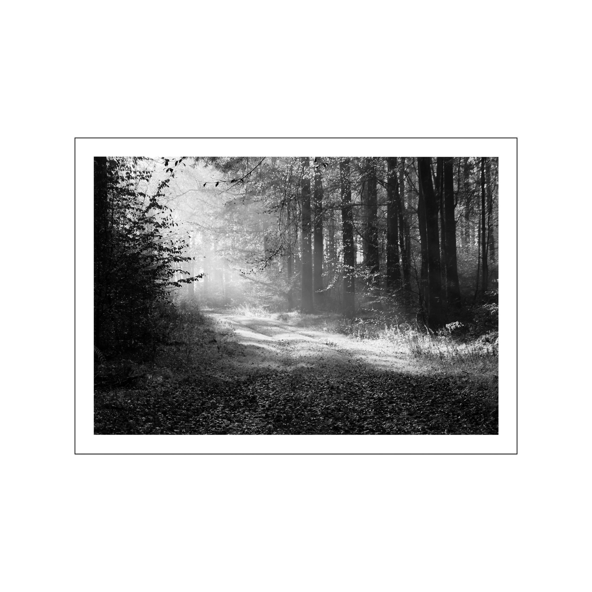 Solstrejf – Poster & Frame Art Group