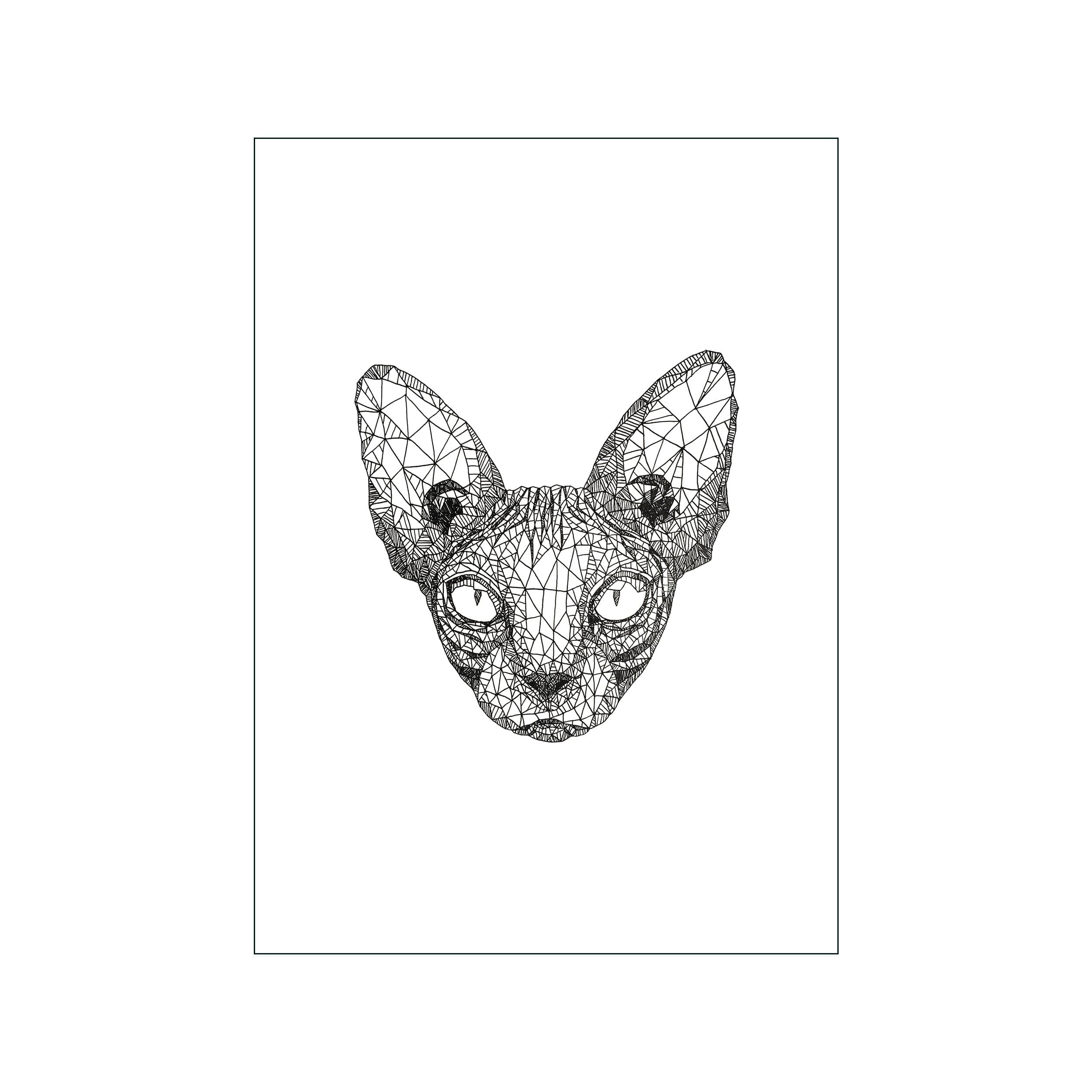 Sphynx Cat – Poster & Frame Art Group